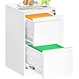 Amazon.com: INTERGREAT 2 Drawers File Cabinet with Lock, 18" D Vertical ...