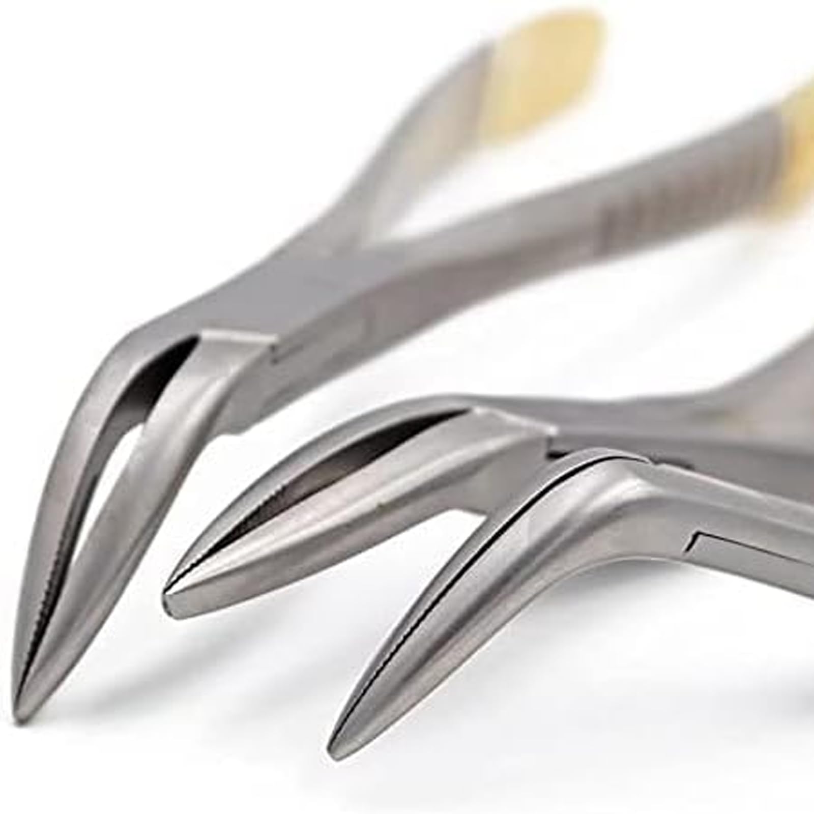 Mua Curved Teeth Extraction Forceps Upper jaw Teeth, Lower jaw Teeth ...