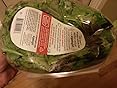 Organicgirl Baby Spring Mix, 5 oz Clamshell: Amazon.com: Grocery ...