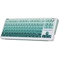 Amazon.com: iLovBee B87 Mechanical Keyboard with Knob, 75% Percent ...