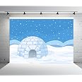 Amazon.com : BELECO 7x5ft Fabric Cartoon Arctic Igloo Backdrop - Polar ...