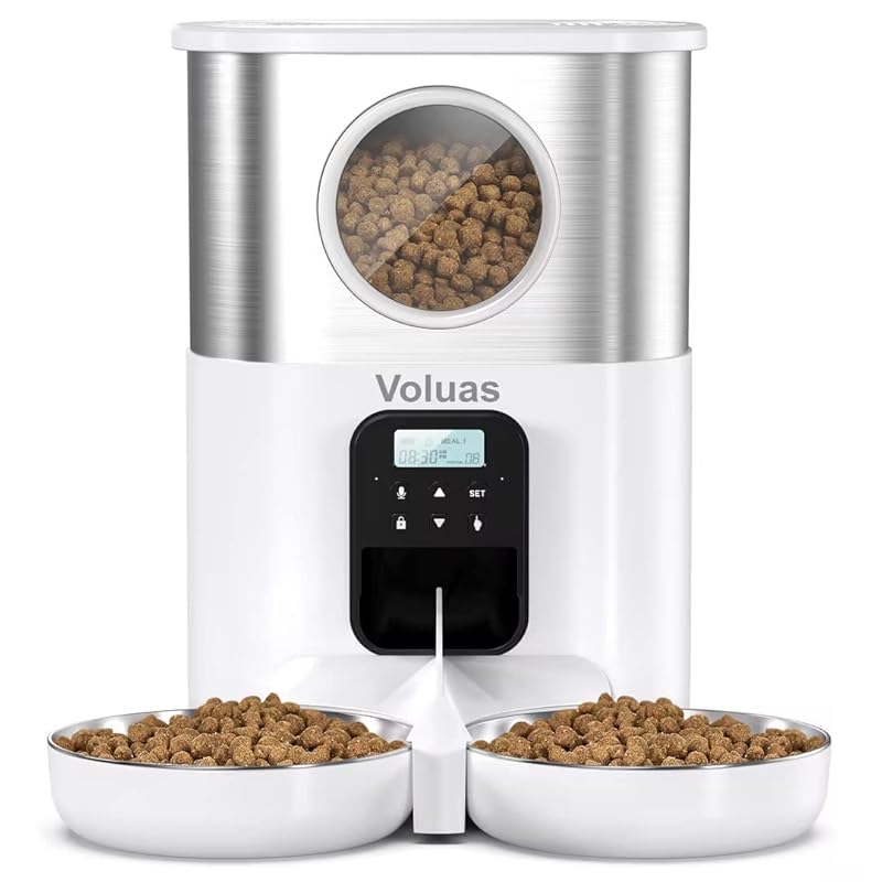 Automatic Cat Feeder with Timer: Best Device for Cat’s Eating Lifestyle