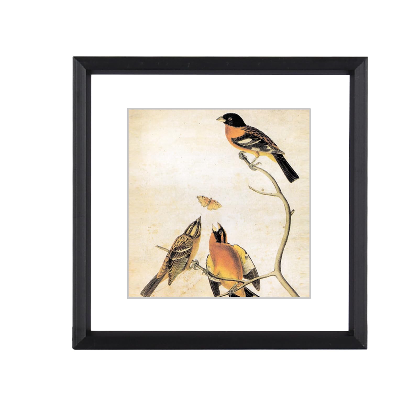 BKABOT 5x5 Picture Frame, Black Metal Photo Frames with HD Glass, Fits ...