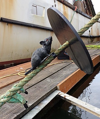 15-in Black Rat Guards Prevent Rats and mice from Climbing Aboard Your ...