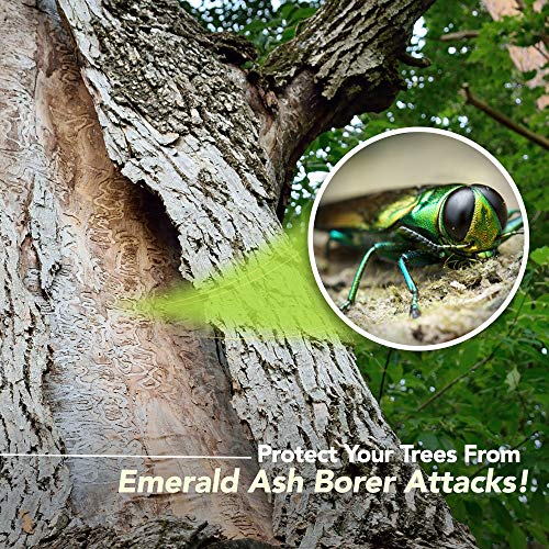 BioAdvanced 701910A 12-Month Tree and Shrub Protect and Feed Insect ...