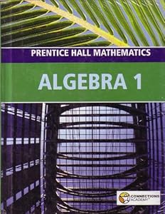 Prentice Hall Mathematics: Algebra 1... book