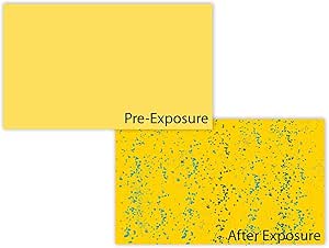 Amazon.com : Teejet Water Sensitive Paper Spray Cards - 3 Inch x 1 Inch ...