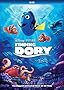 Amazon.com Hot New Releases: The best-selling new & future releases in DVD