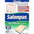 Amazon.com: Salonpas Pain Relieving Patch - 60 Patches (Pack of 2 ...