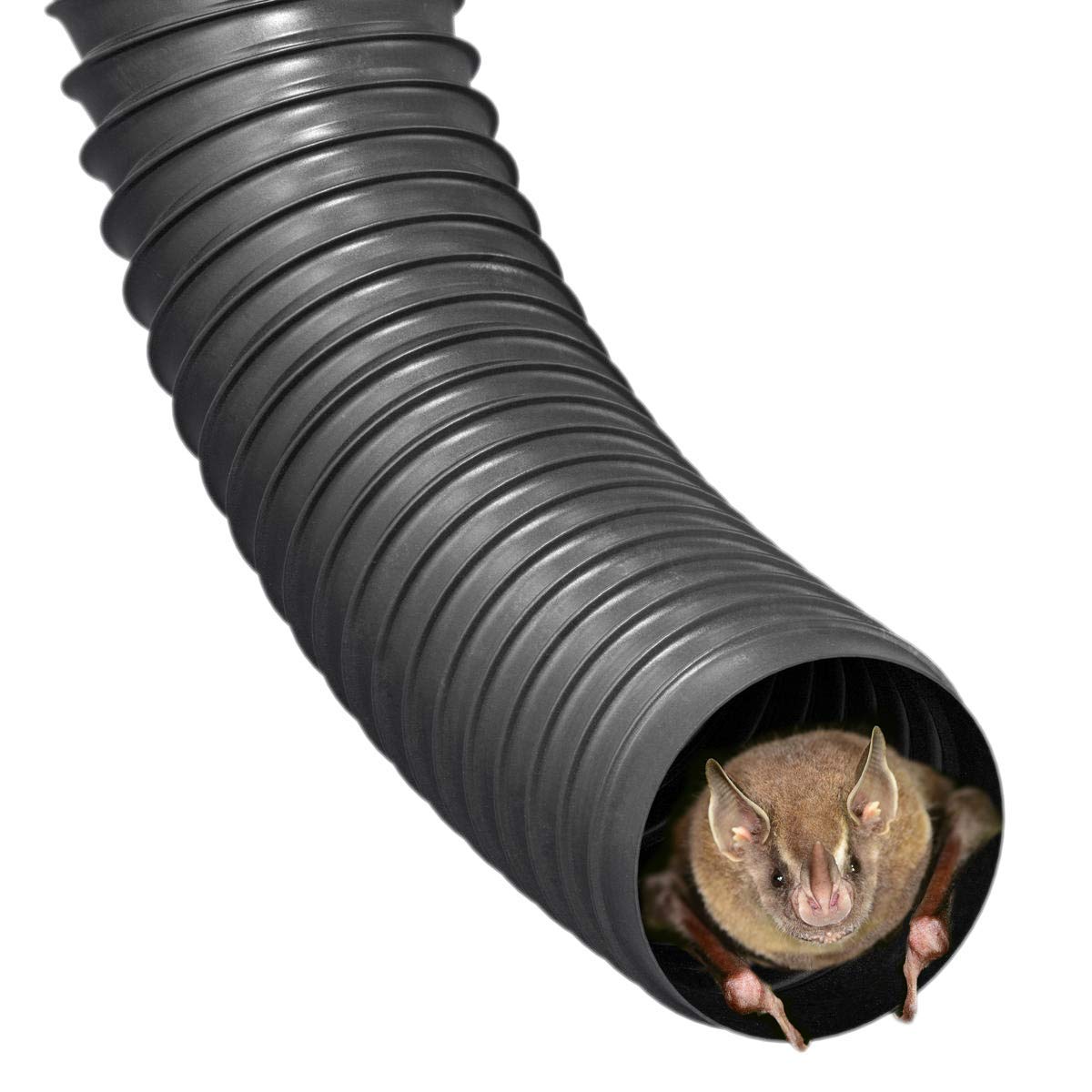 THE BAT VALVE TBV-FLEX2 | Animal Traps & Supplies