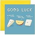 Amazon.com : Old English Co. Cute Good Luck Card for Women and Men ...