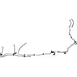 Amazon.com: Dorman 919-841 Front Stainless Steel Fuel Line Kit ...