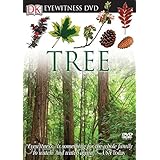 Amazon.com: Rock and Mineral (DK Eyewitness DVD): DK Publishing, Sheen ...