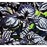 Amazon.com : Purple Petra Basil Seeds - 500 mg - Organic : Herb Plants ...