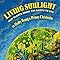 Living Sunlight: How Plants Bring the Earth to Life : Bang, Molly ...