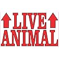 Amazon.com: StickerTalk Live Animal Vinyl Sticker, 5 inches by 3 inches ...