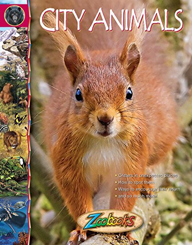 Zoobooks Camels | World's Biggest Leveled Book Database | Readu