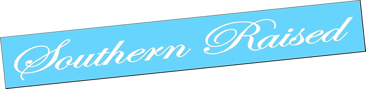 Amazon.com: SOUTHERN RAISED 42" Windshield Brow VINYL DECAL Sticker ...