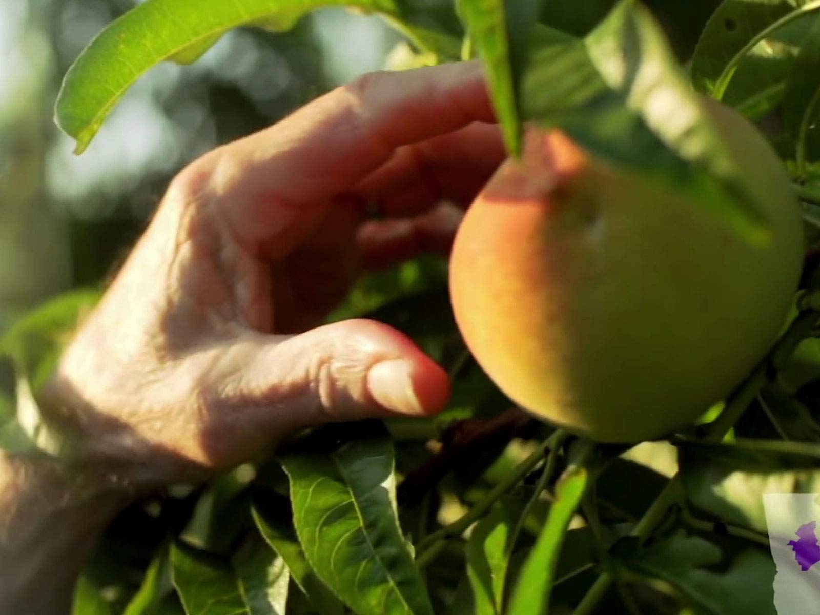 Watch Bad Tourism Commercials | Prime Video