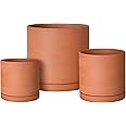 Amazon.com : D'vine Dev Terracotta Pots for Plants, 5.3 Inch 6.5 Inch 7 ...