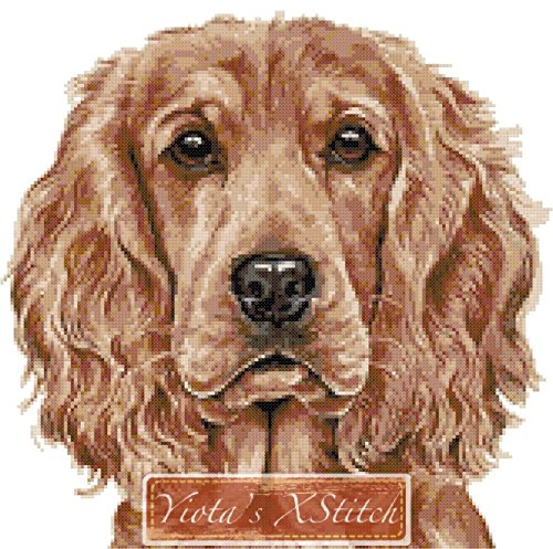 Golden Cocker Spaniel Counted Cross Stitch Kit