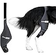 Amazon.com : Ortocanis - Dog Knee Brace - for Left Hind Leg - Made of ...