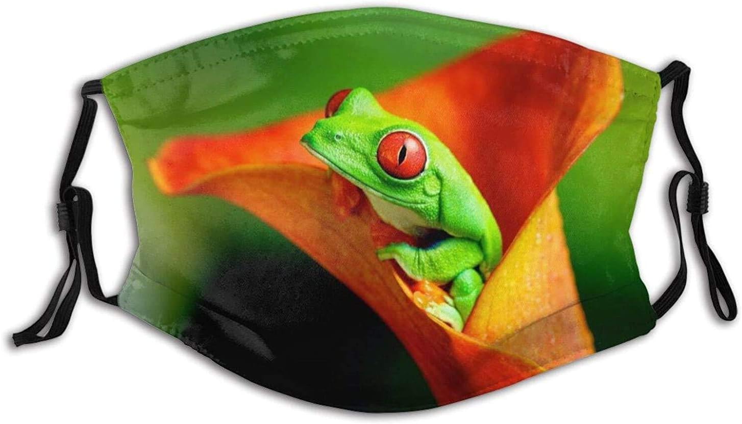 Máscara facial de rana, reutilizable, lavable, bandanas de moda con 2 ...