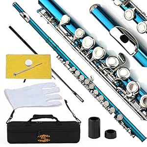 Amazon.com: Glory Closed Hole C Flute With Case, Tuning Rod and Cloth ...