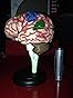 Amazon.com: Learning Resources Brain Model : Toys & Games