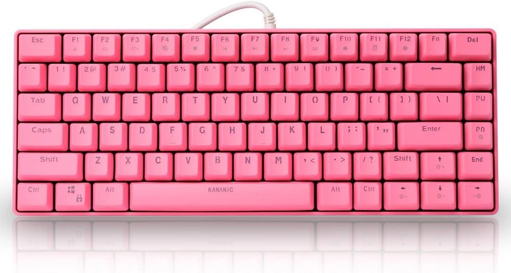 Amazon.com: Kananic Gaming Keyboard Mechanical Wired Keyboard Blue ...