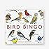 Bug Bingo (Magma for Laurence King): Amazon.co.uk: Christine Berrie ...