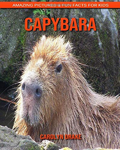 Capybara: Amazing Pictures & Fun Facts for Kids | World's Biggest ...