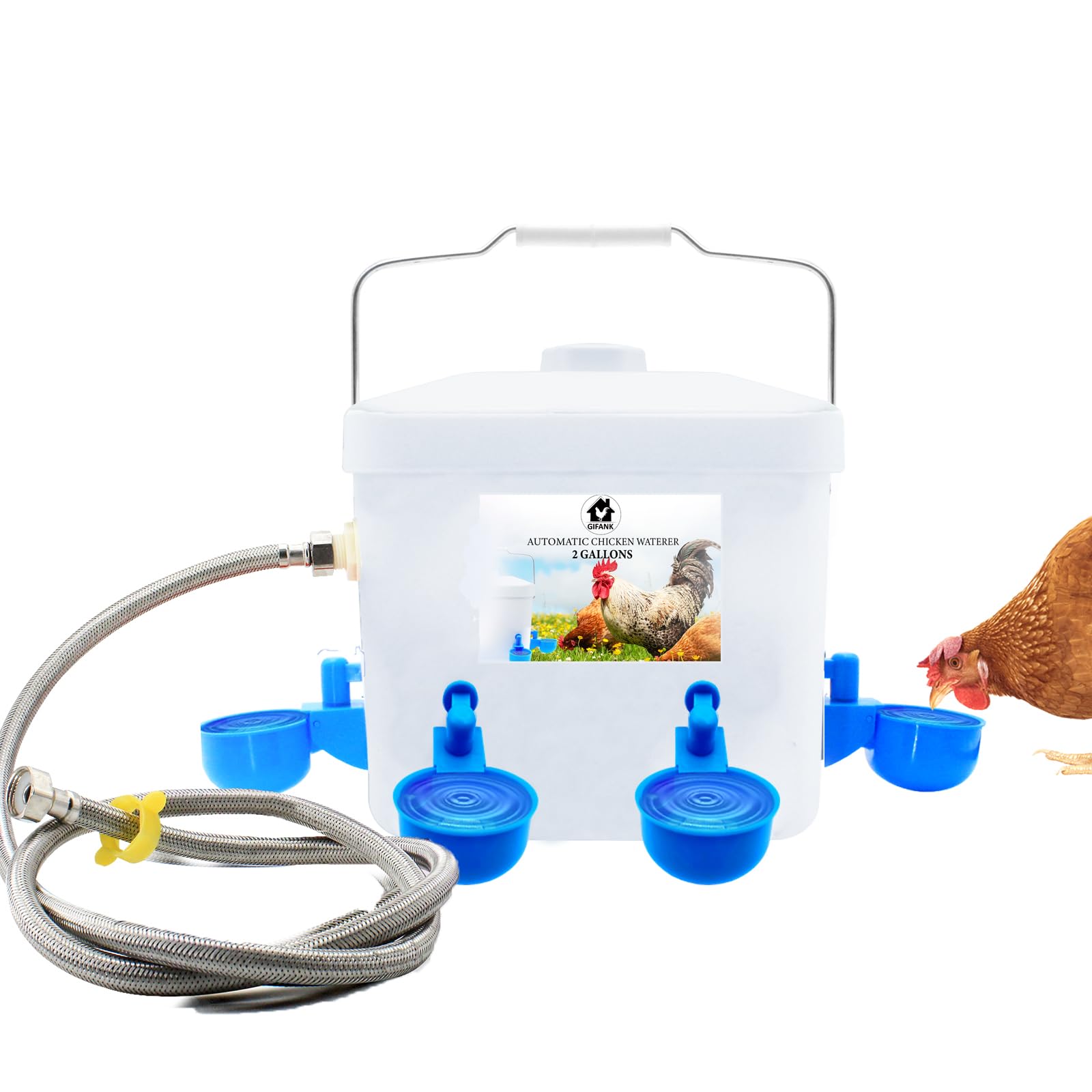 GIFANK Automatic Chicken Waterer Float Controlled, 3 Gallons Poultry ...