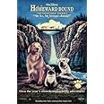 Amazon.com: Homeward Bound The Incredible Journey Movie Poster (27 x 40 ...