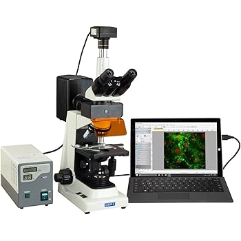 AmScope M150C / M150C-I 40X-1000X All-Metal Optical Glass Lenses ...