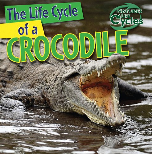 The Life Cycle of a Crocodile (Nature's Life Cycles): Linde, Barbara M ...