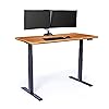 Vari Classic Electric Standing Desk - VariDesk Height Adjustable Sit ...
