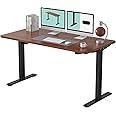 Amazon.com: FLEXISPOT EC1 Standing Desk 55 x 28 Inches Electric Stand Up Desk Workstation, Whole ...