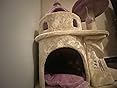 Trixie 44851 Pet Products My Kitty Darling Castle, Beige/Lilac : Amazon ...