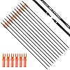 Carbon Arrow Practice Hunting Arrows with Removable Tips for Archery ...