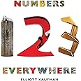 Amazon.com: Numbers Everywhere: 9780789211576: Kaufman, Elliott: Books