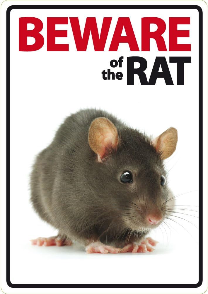 Beware Of The Rat A5 Sign: Amazon.co.uk: Pet Supplies