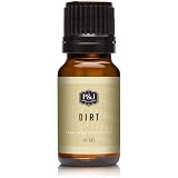 Amazon.com: Night Air Fragrance Oil - Premium Grade Scented Oil - 10ml ...