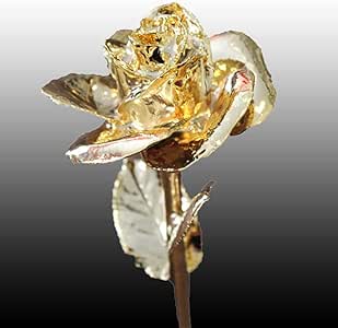 Amazon.com: 24 Karat Gold-Dipped Rose: Kitchen & Dining