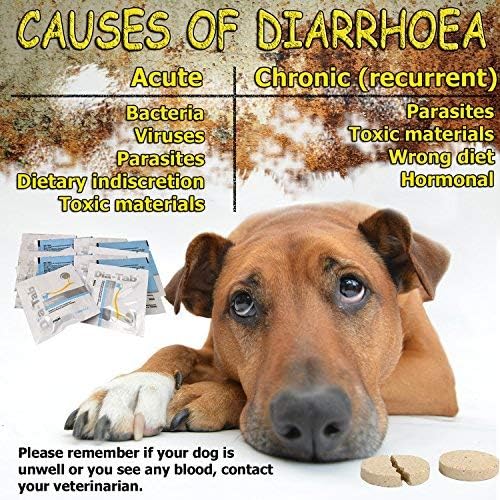 Dia-Tab Diarrhoea Tablets For Dogs – Effective Chewable Pet Medicine ...