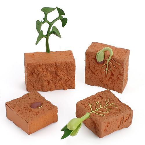 iqipets Plant Growth Cycle Farm Animal Growth Cycle Biological Figure ...