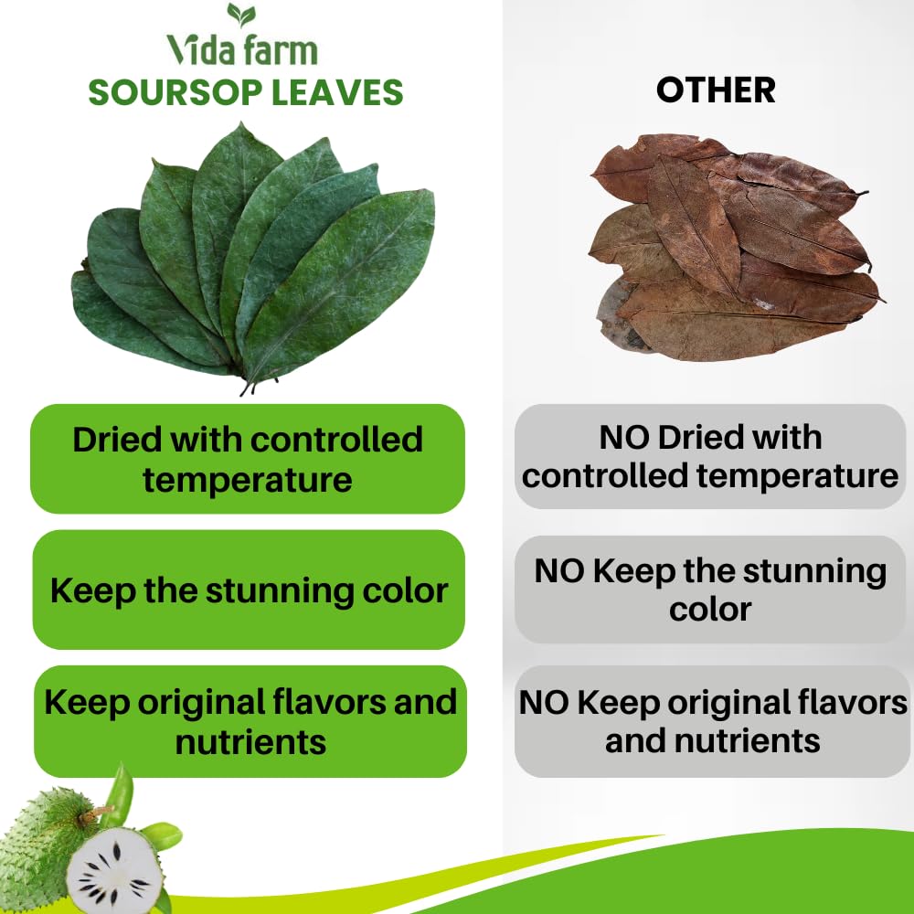 Mua VIDA FARM 255+ Soursop Leaves Tea - Graviola Guanabana Large Dried ...
