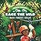 Race the Wild #1: Rain Forest Relay: Kristin Earhart: 2015545773539 ...