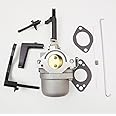 Amazon.com : goodfind68 New Carburetor Compatible with Briggs ...