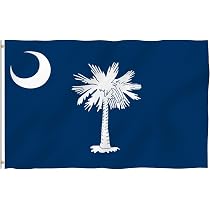 Old South Carolina State Flag